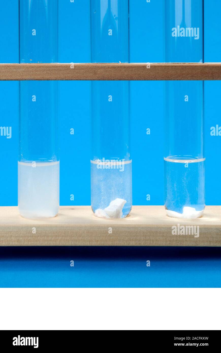 Marble in different strength acids. Three test tubes containing pieces ...