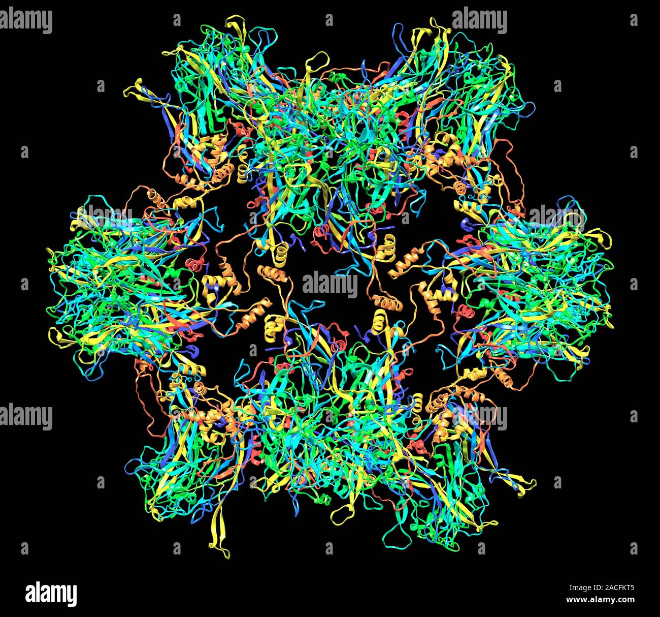 HPV-like particle formed from L1 surface proteins, ribbon model. The L1 ...