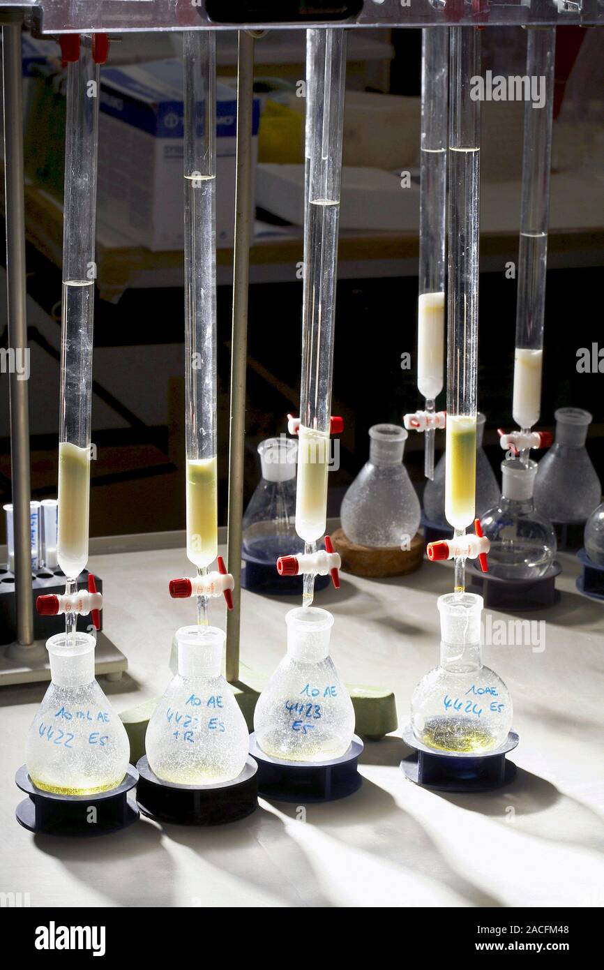 Food analysis. Burettes (calibrated glassware) containing food extracts ...