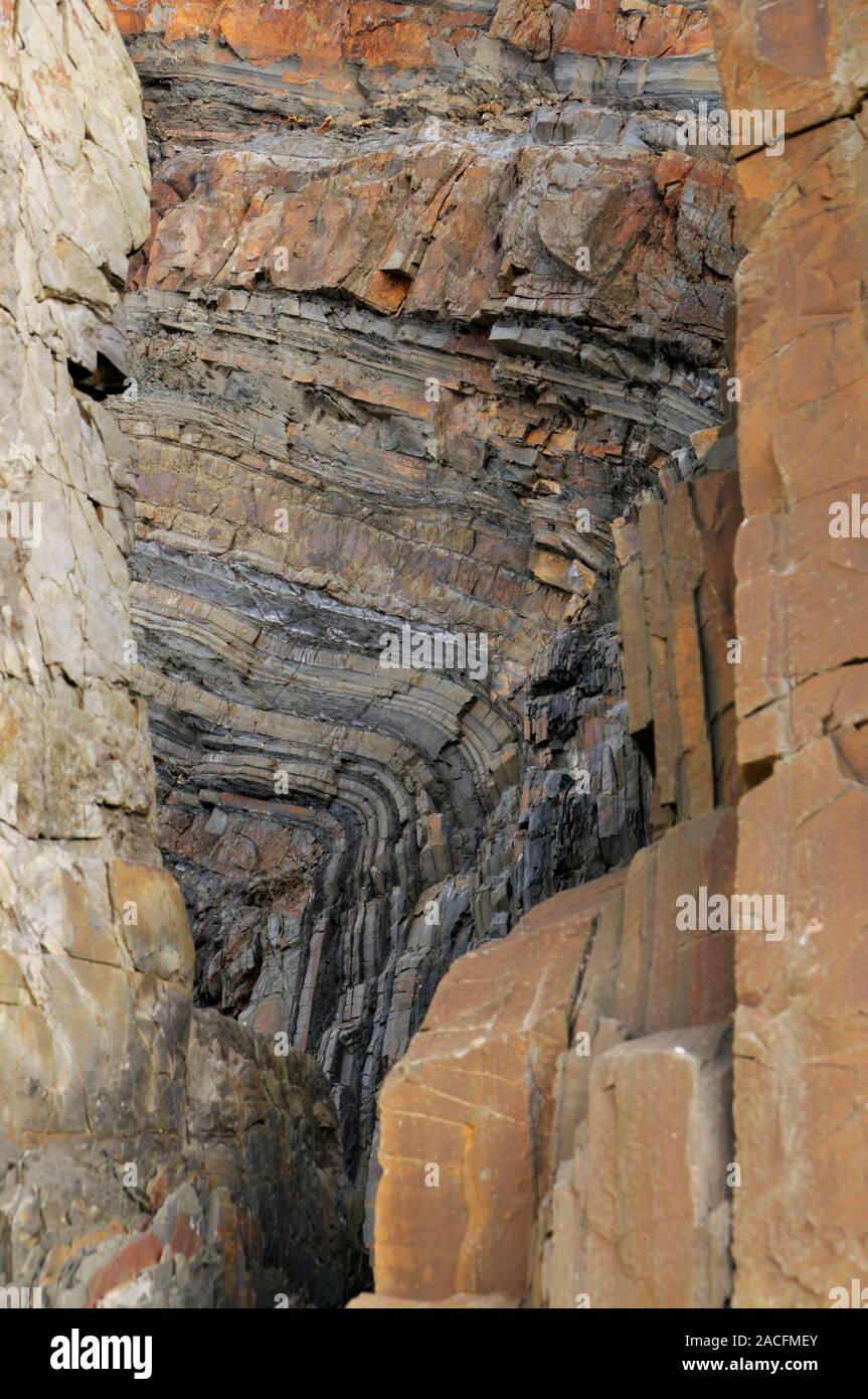 Tectonic buckling of rock layers. Tectonic forces, together with vast ...