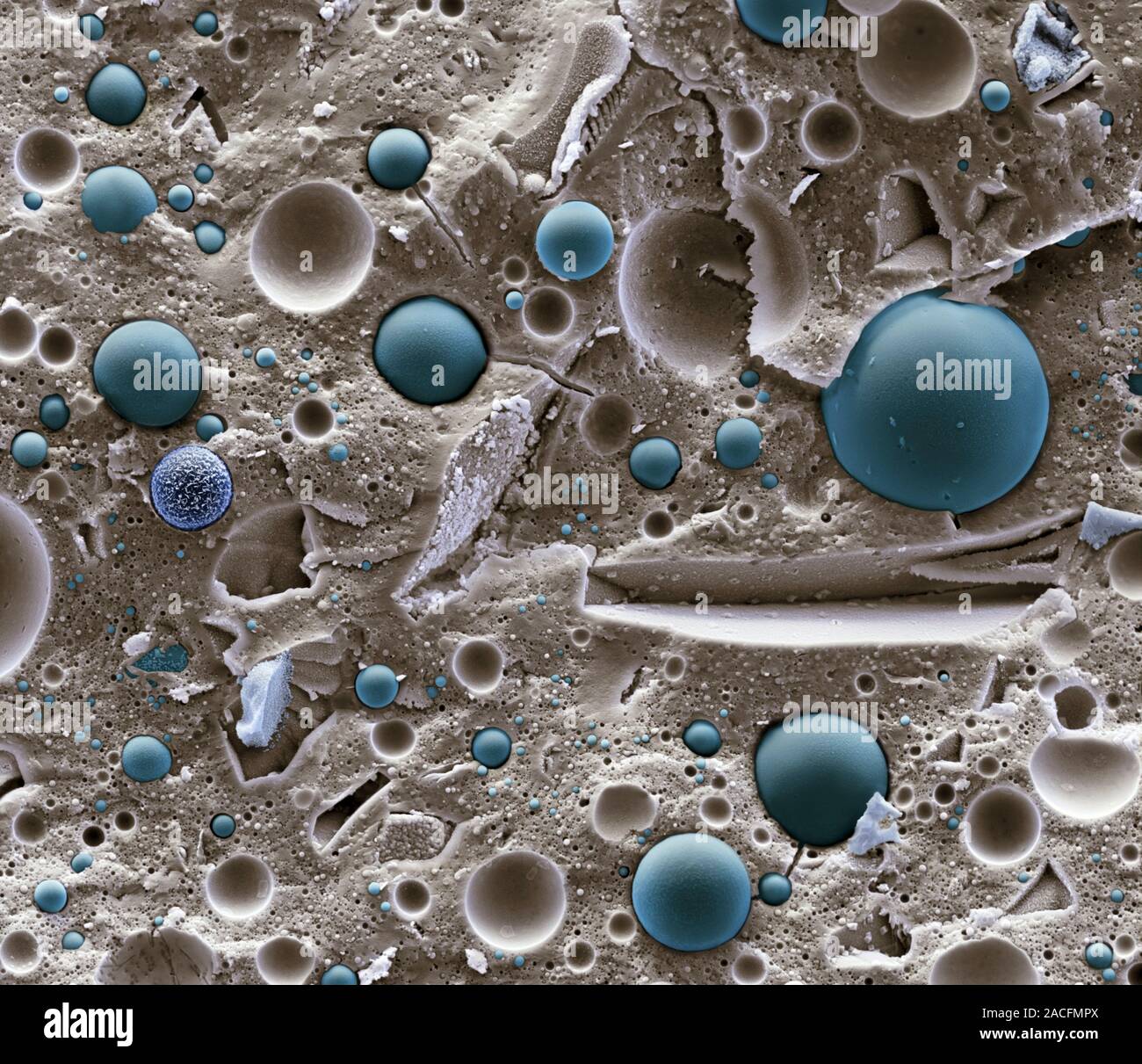 Aluminosilicate crystals (blue), coloured scanning electron micrograph ...