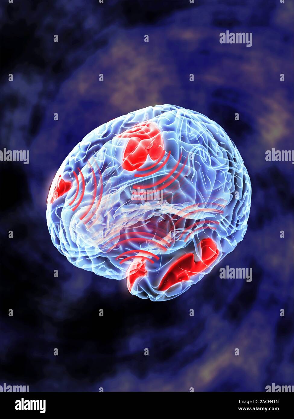 Neural synchrony in the human brain, computer artwork. Active areas of ...