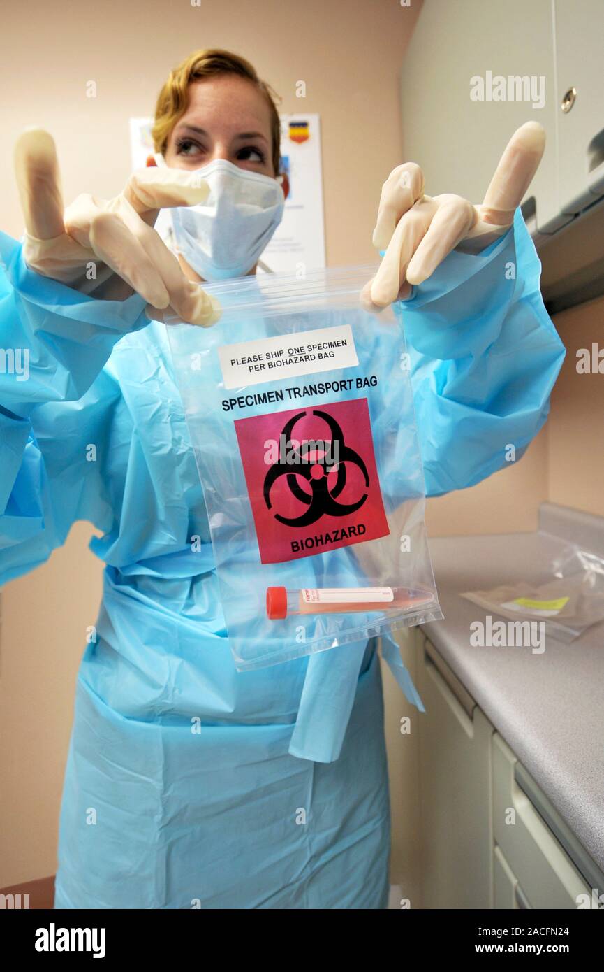 Swine flu sample. Medical worker sealing a specimen transport bag for a ...