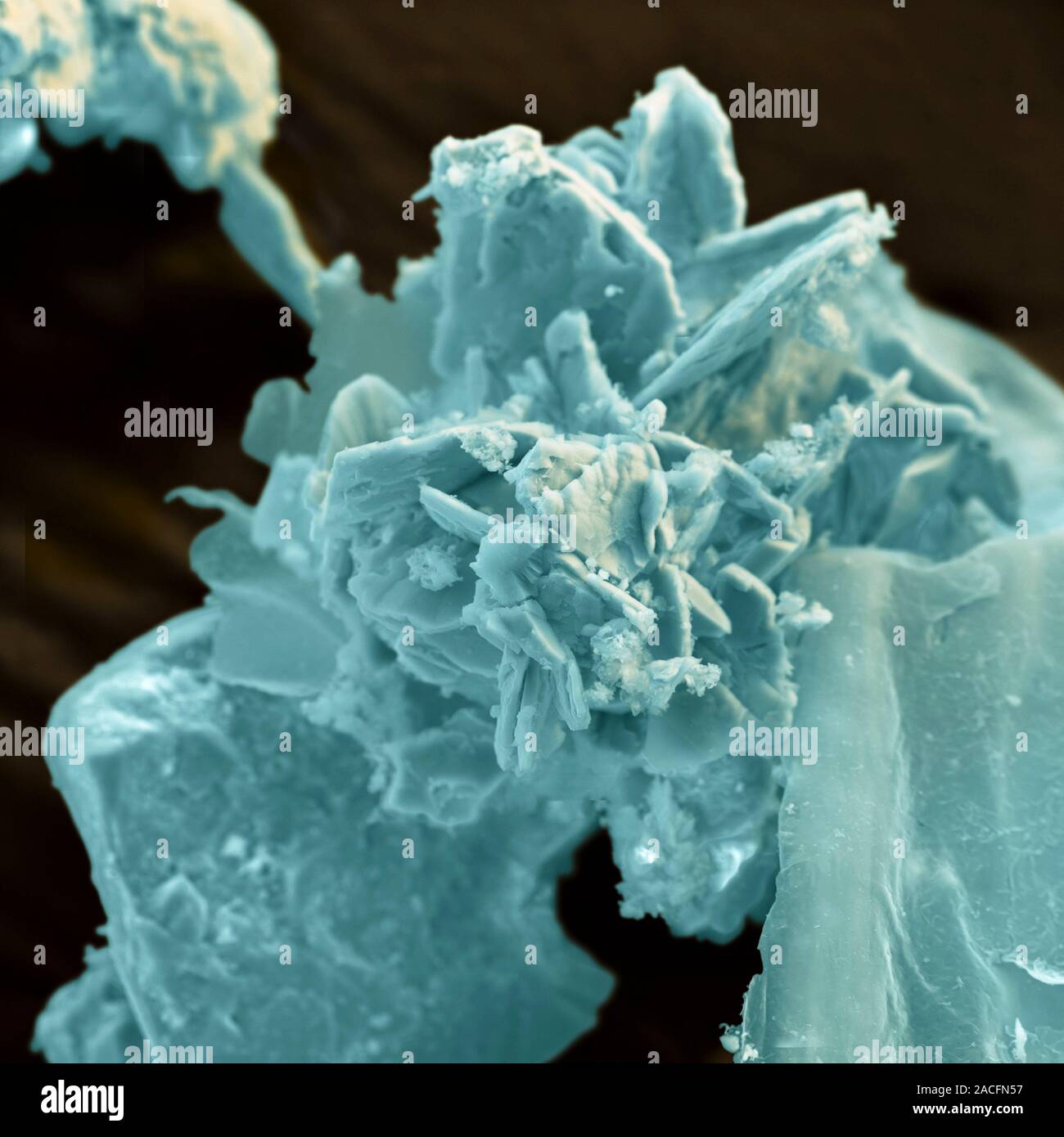 Stromatolite crystals, coloured scanning electron micrograph (SEM ...