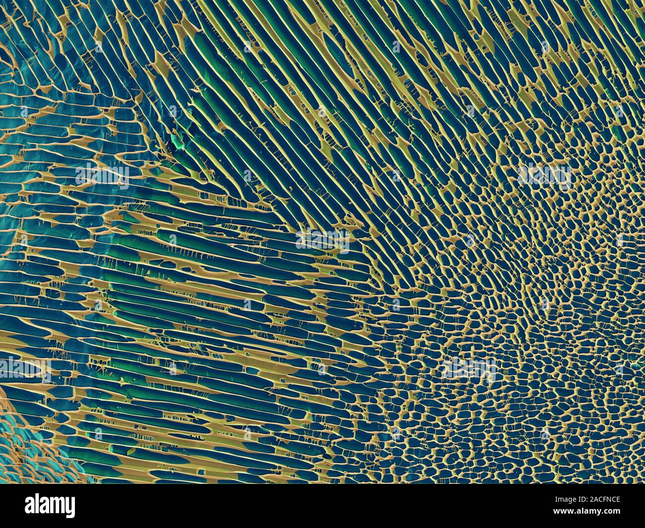 Concrete. Coloured scanning electron micrograph (SEM) of concrete ...