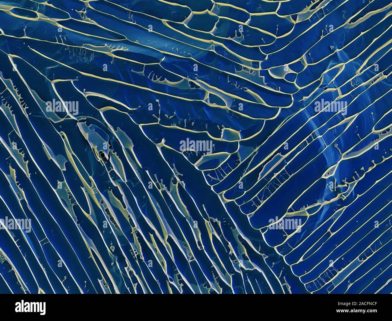 Concrete. Coloured scanning electron micrograph (SEM) of concrete ...