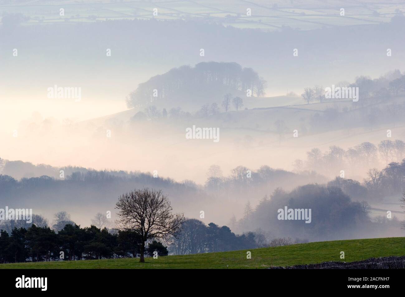 Morning mist over farmland. Morning mist, or inversion fog, over ...