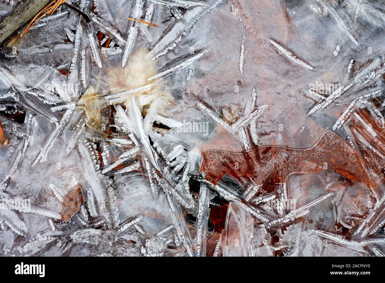 Lake ice. Ice crystal patterns formed on the surface of water at the ...