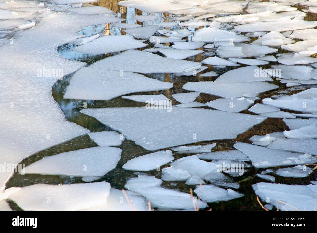 Sea-ice. This free-floating ice has formed from the break-up of a thin ...