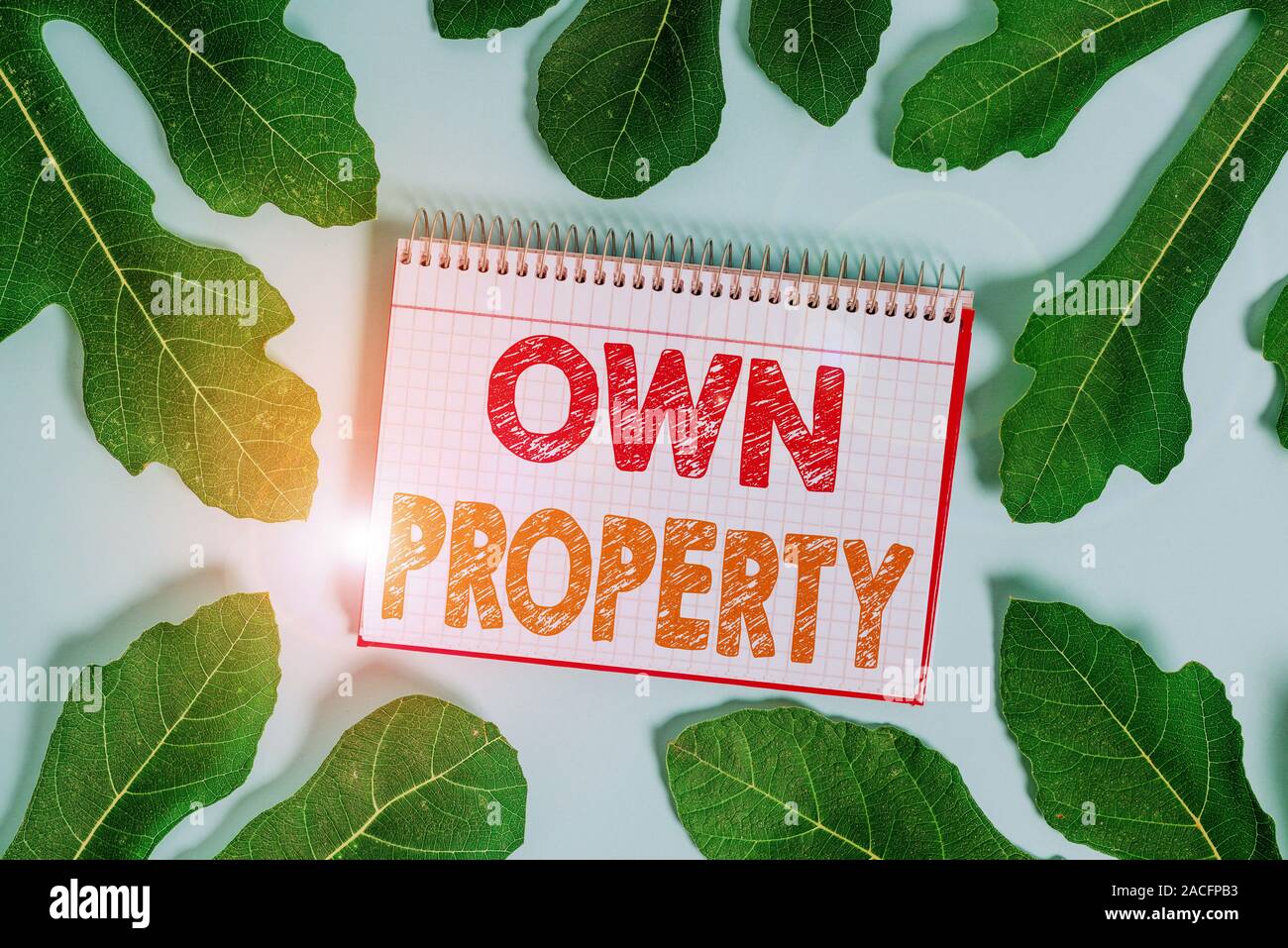 Conceptual hand writing showing Own Property. Concept meaning Things ...