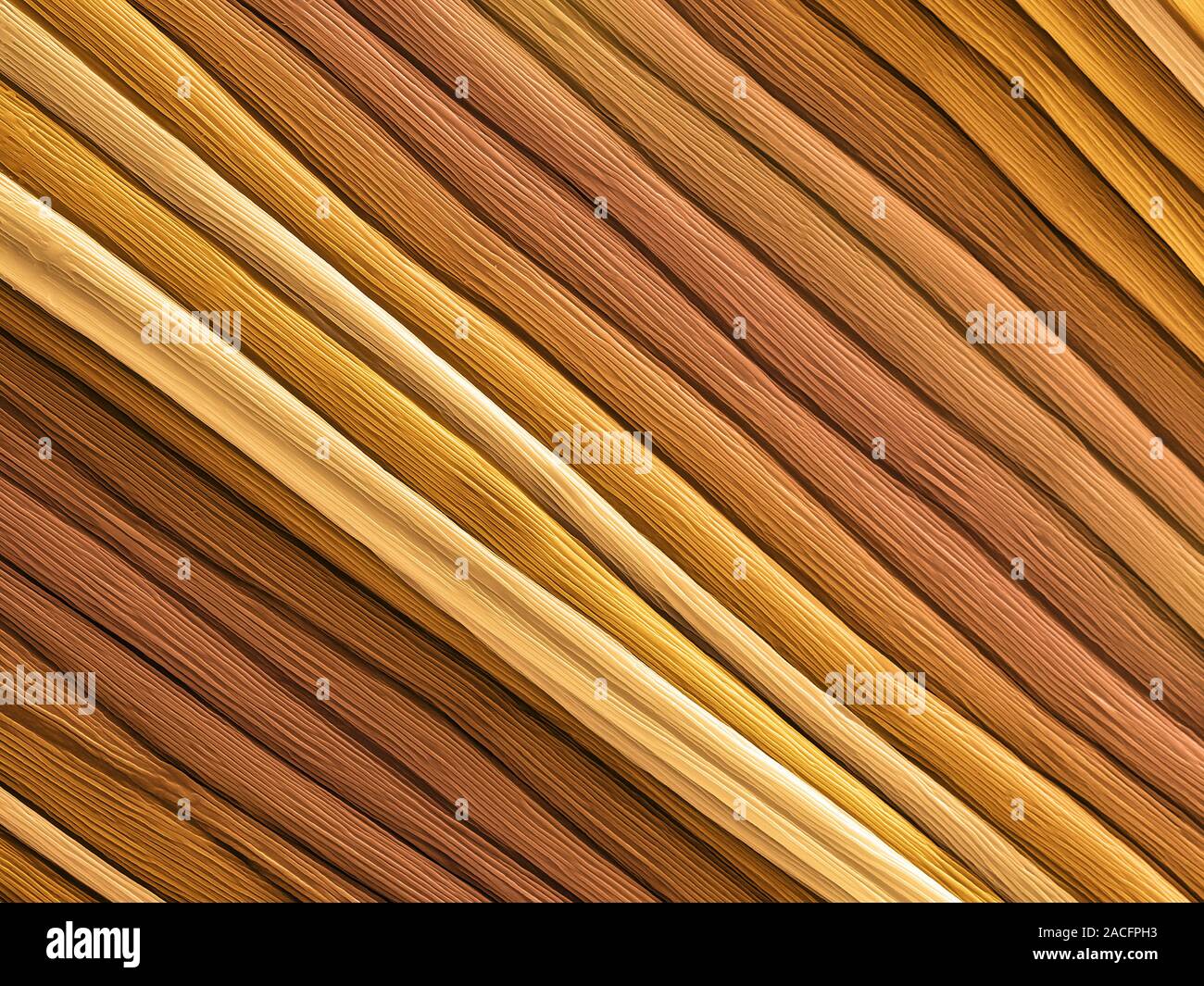 Heather flower sepal. Coloured scanning electron micrograph (SEM) of a ...