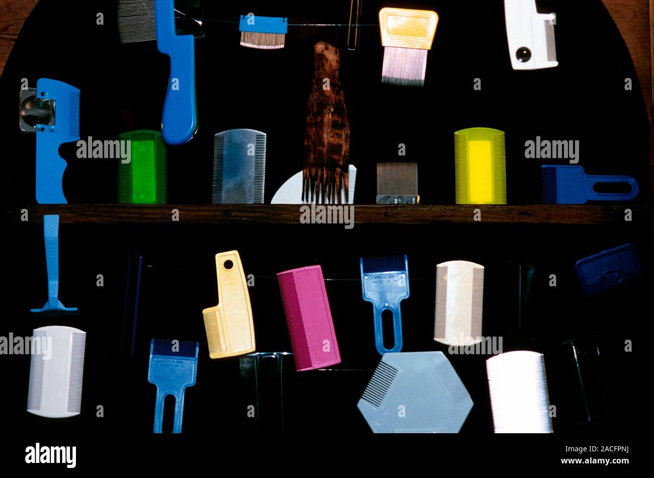Lice comb collection. This array of lice combs is part of a collection ...
