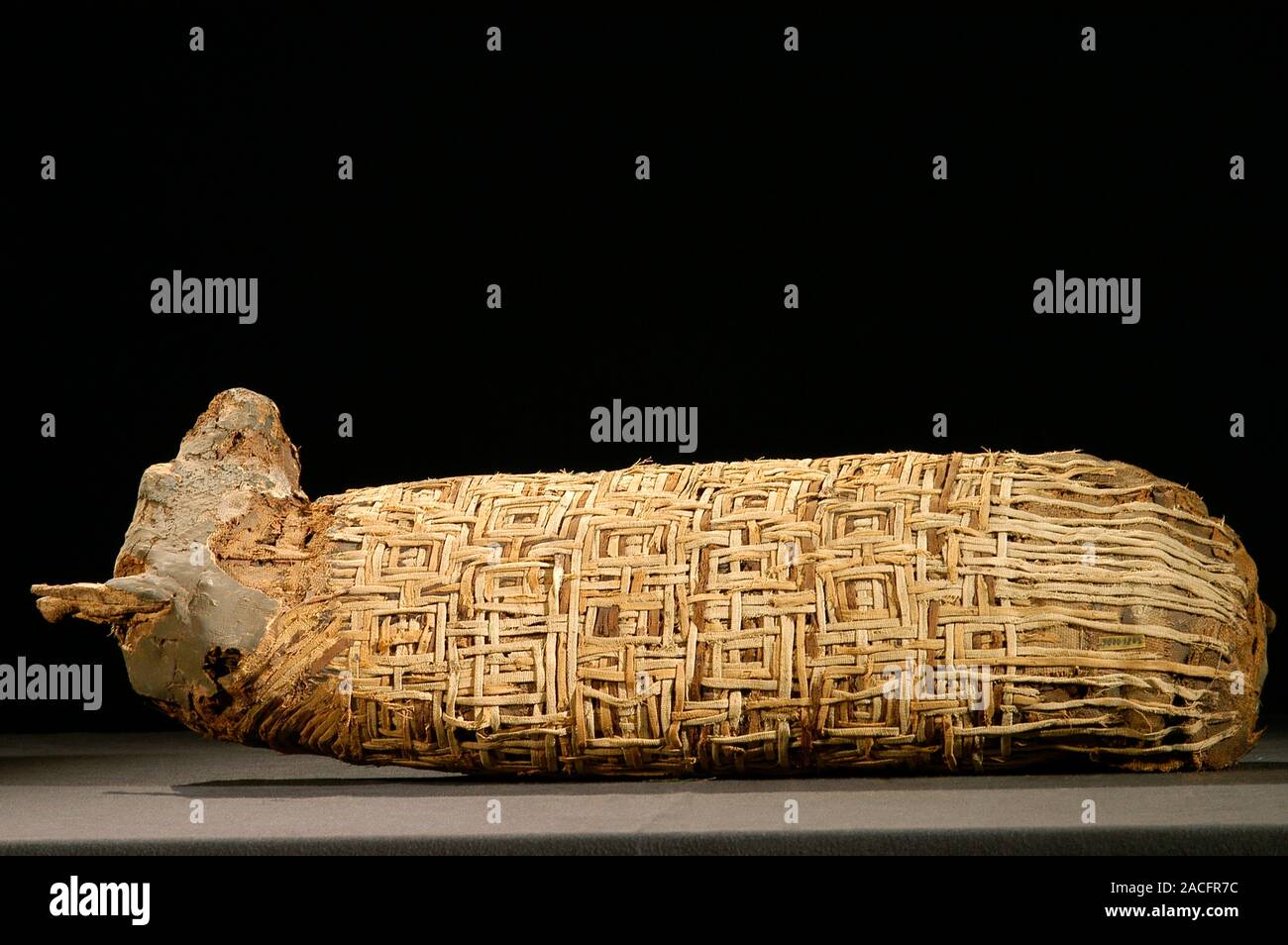 Mummified dog from Ancient Egypt. Animals were mummified in Ancient ...