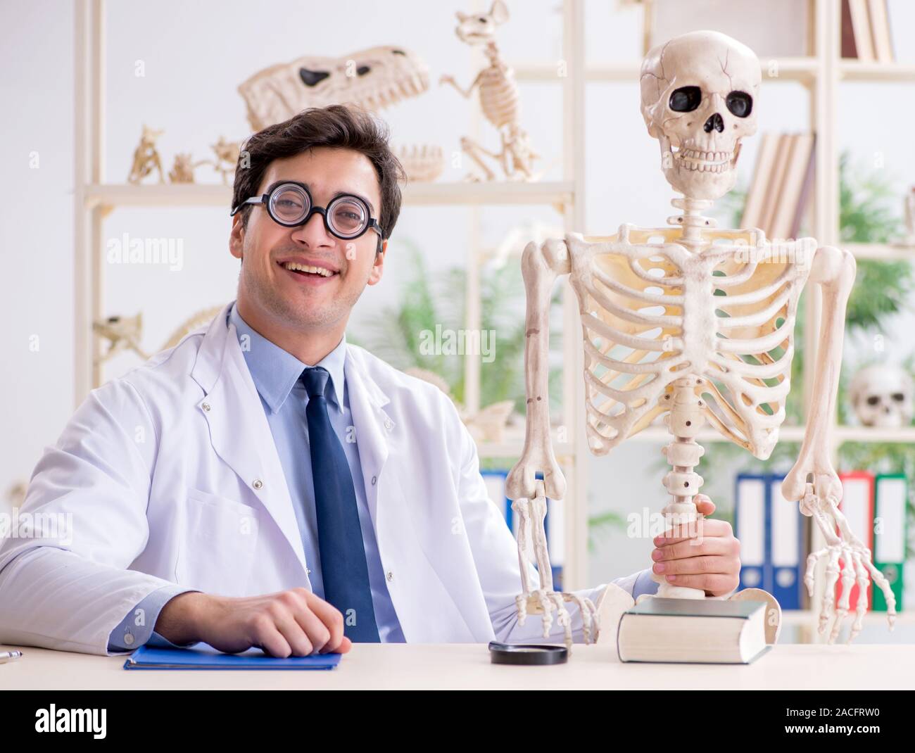 The crazy professor studying human skeleton Stock Photo - Alamy