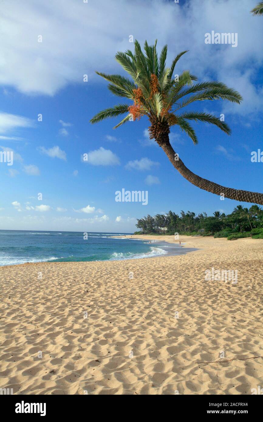 Tropical beach. Photographed at Sunset Beach Park, Oahu, Hawaii, USA ...