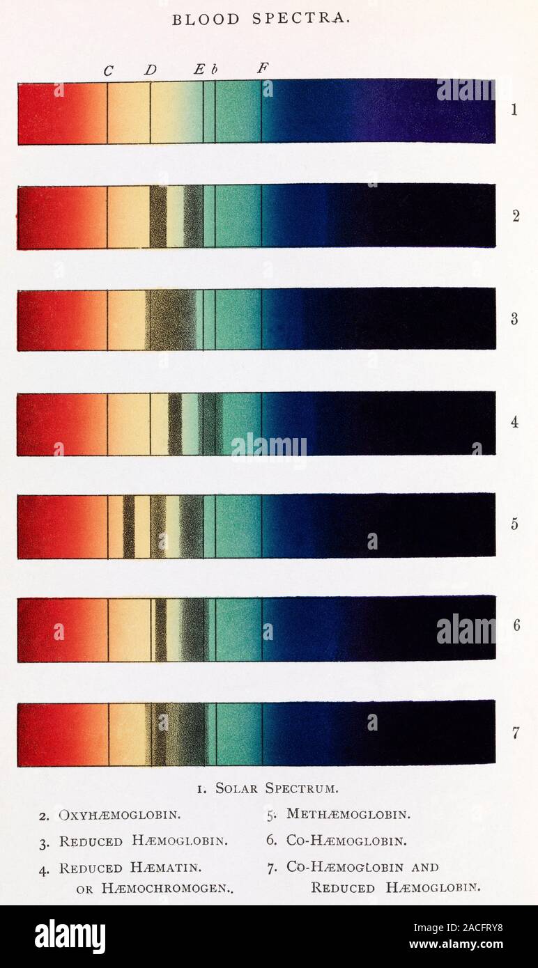 Blood spectra, 19th century artwork. These spectra, showing the results ...