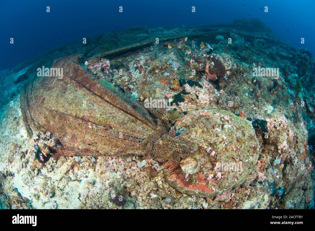 Old fishing net entangled on a deep reef. Fish can get caught up in ...