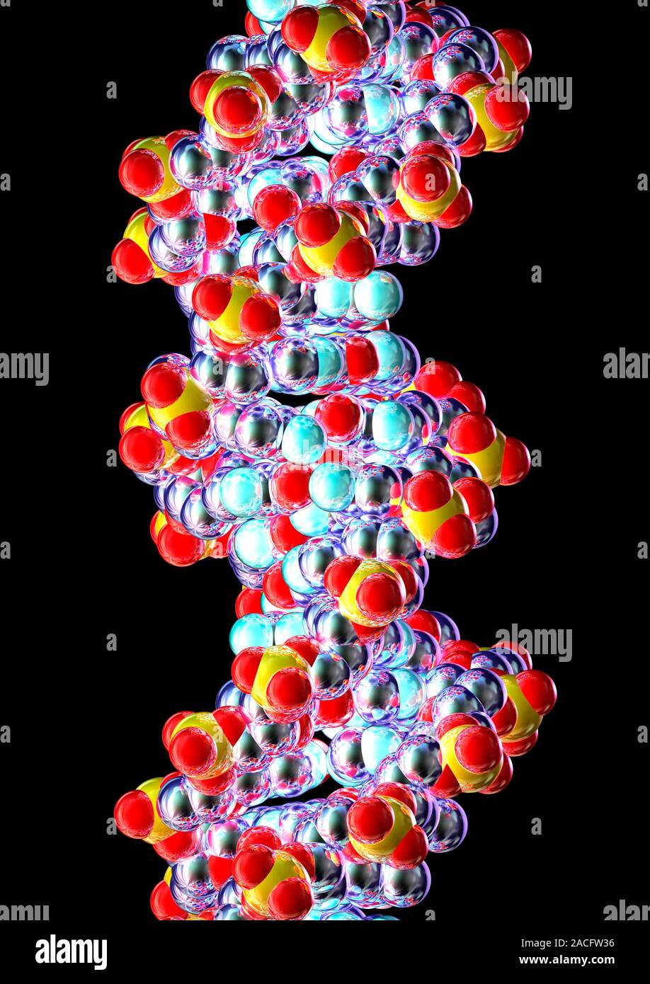 DNA molecule. Computer artwork representing the molecular structure of ...