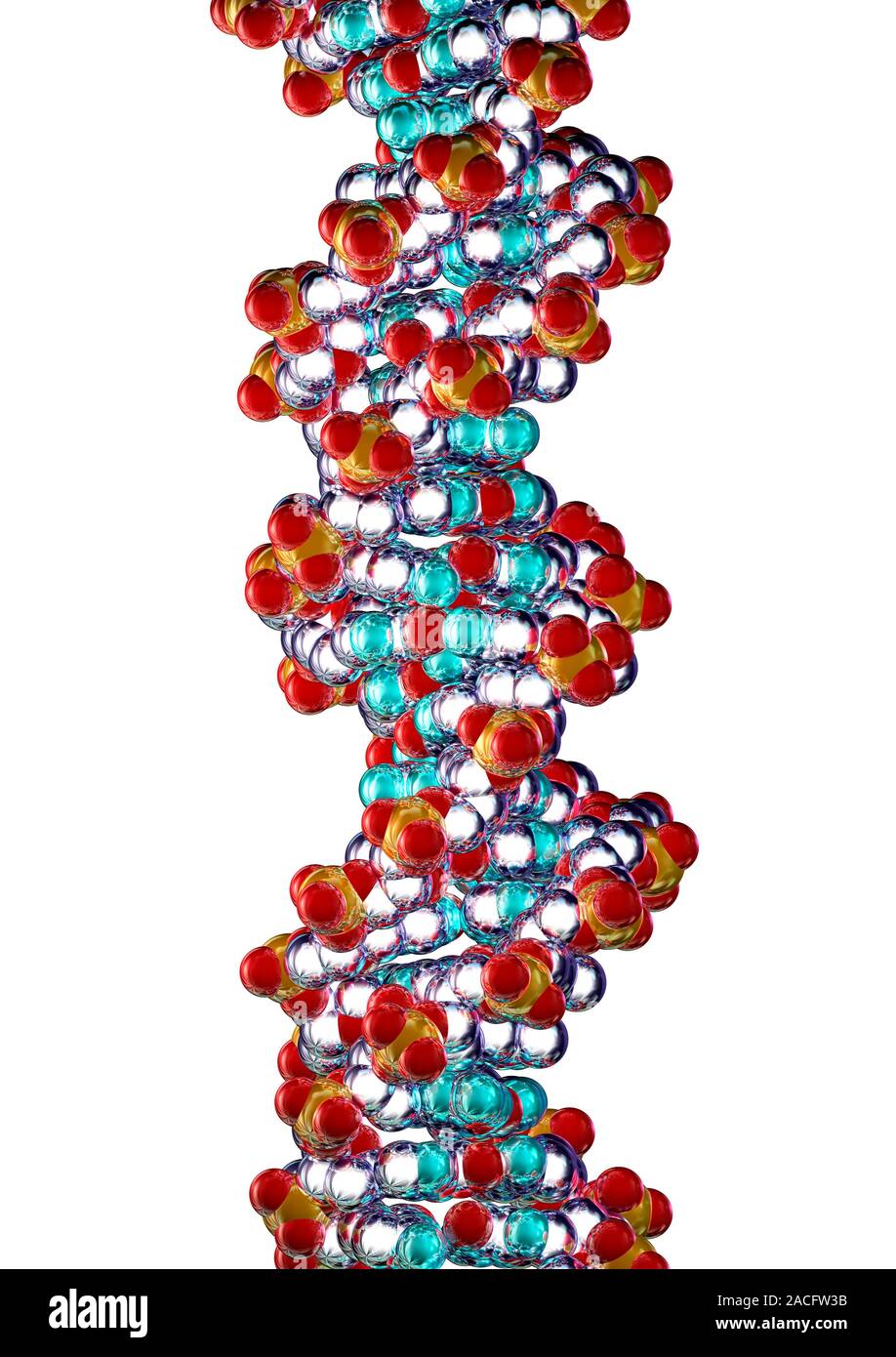DNA molecule. Computer artwork representing the molecular structure of ...