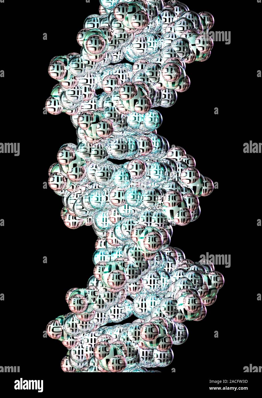 DNA molecule. Computer artwork representing the molecular structure of ...