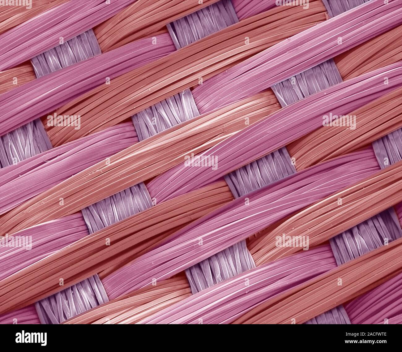 Woven silk, coloured scanning electron micrograph (SEM). Silk is a ...