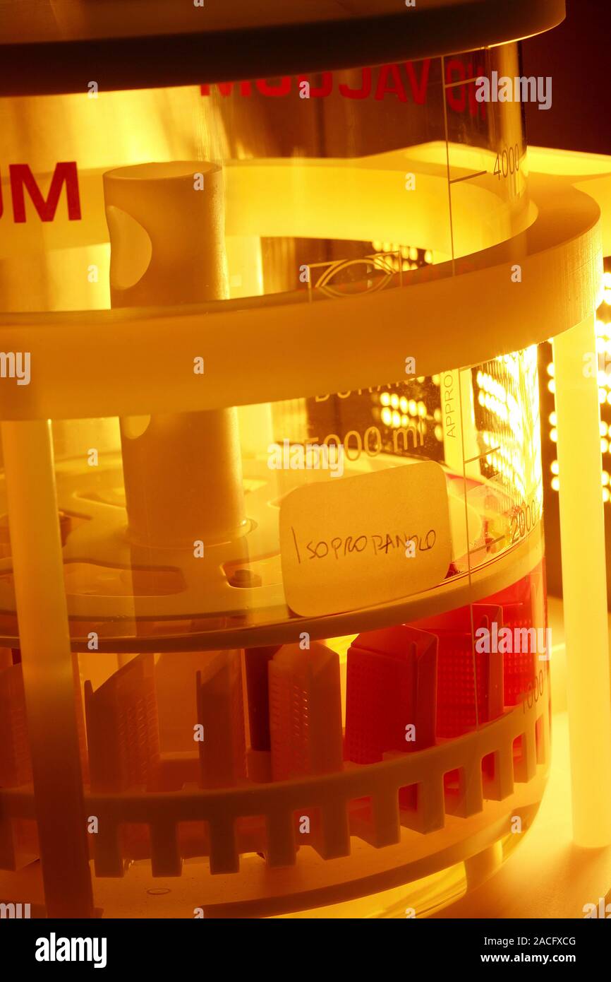 Microwave histology processor. Histology specimens in a Histos 5 rapid ...