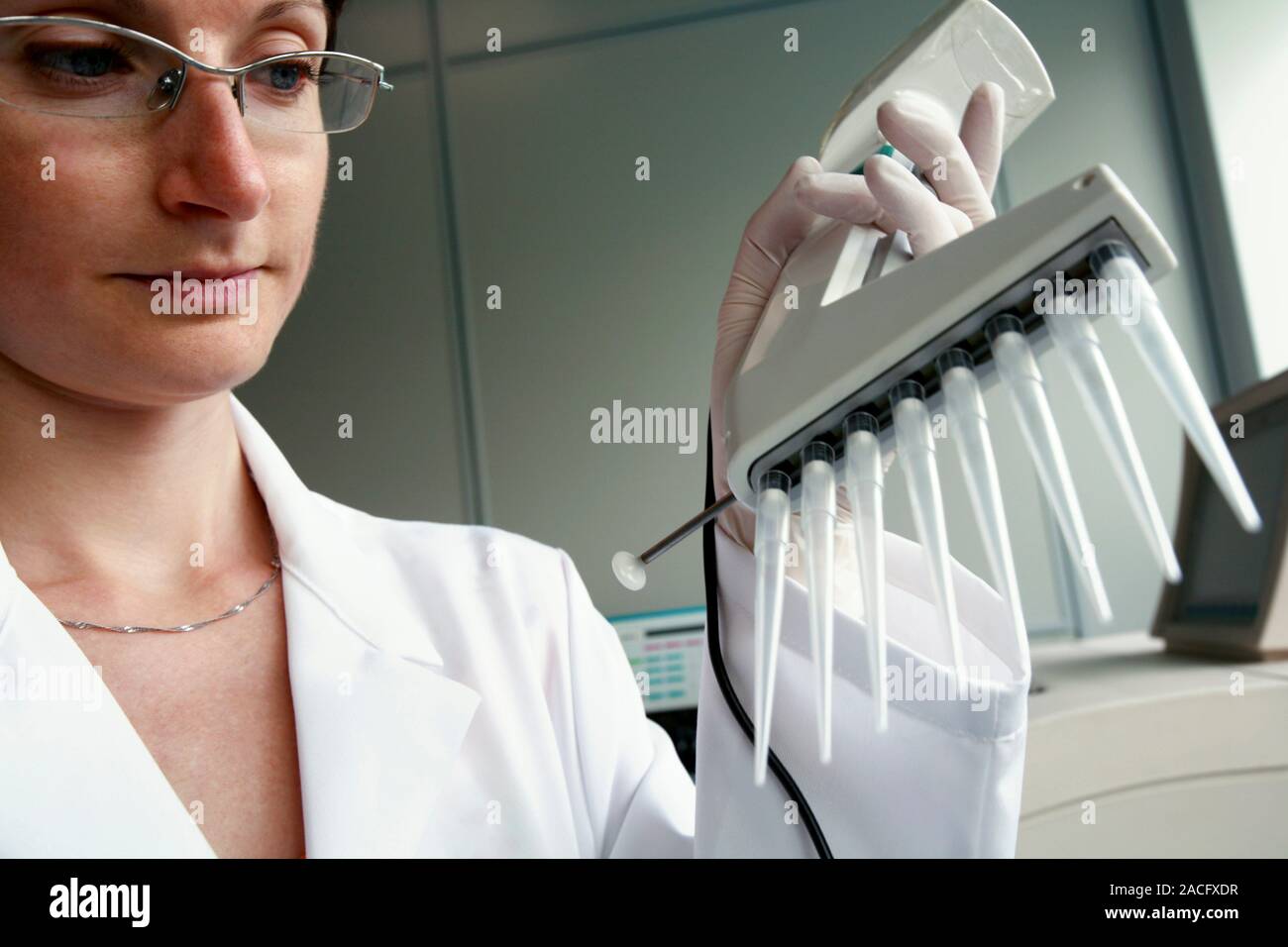 Histology laboratory. Technician using a multi-pipette, to fill sample ...