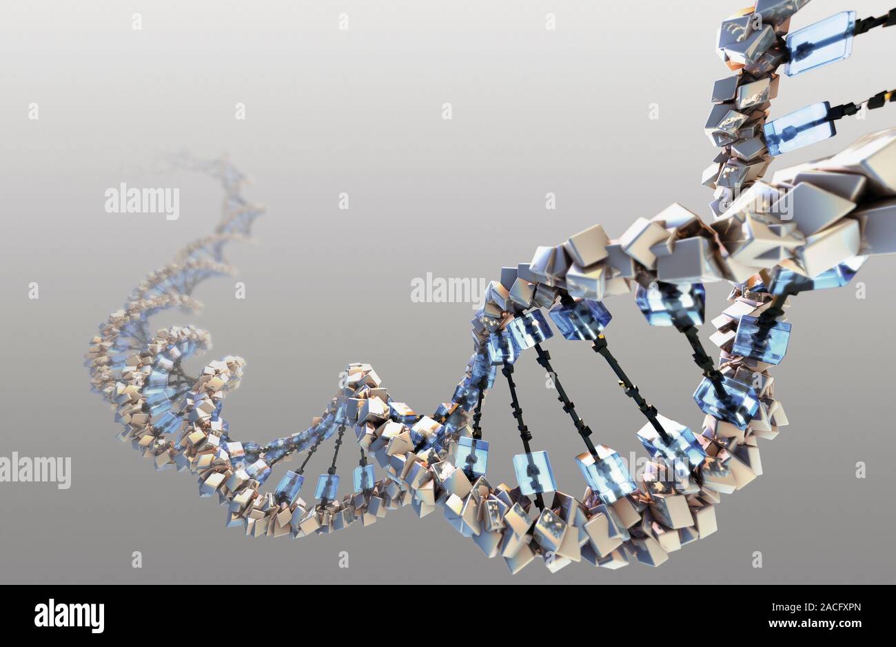 DNA molecule. Computer artwork representing the molecular structure of ...