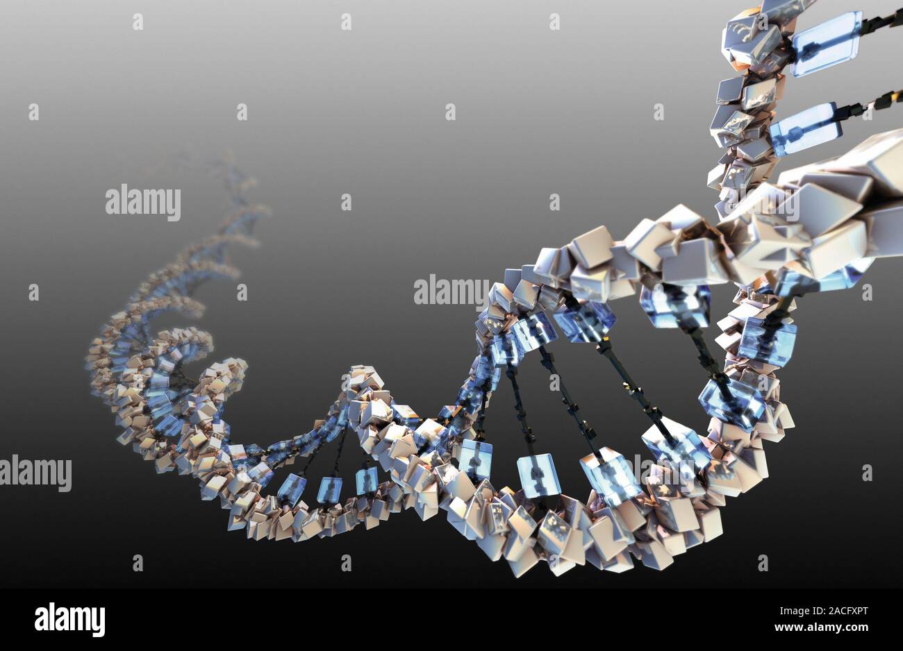 DNA molecule. Computer artwork representing the molecular structure of ...