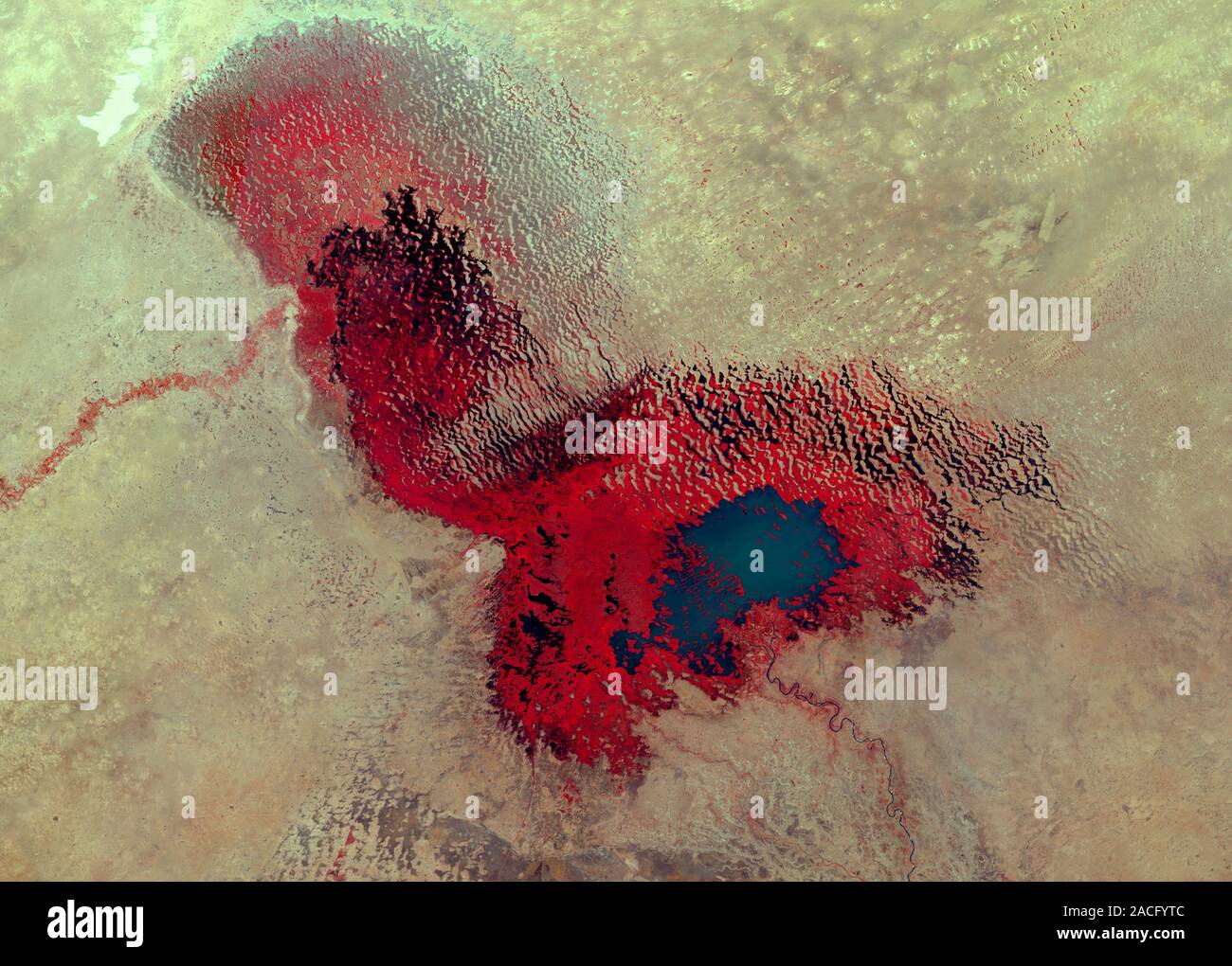 Lake Chad, satellite image. Image 4 of 4. Lake Chad, located in the ...