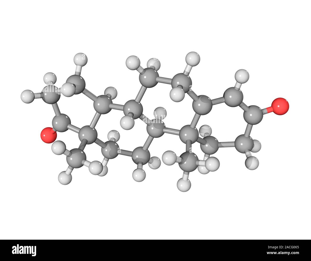 Androstenedione hormone molecule. Computer model showing the structure ...