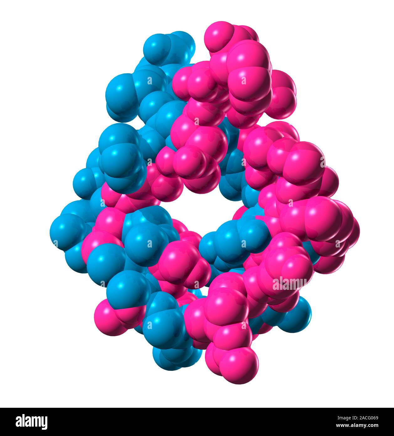 Atrial natriuretic peptide molecule. Computer model showing the ...