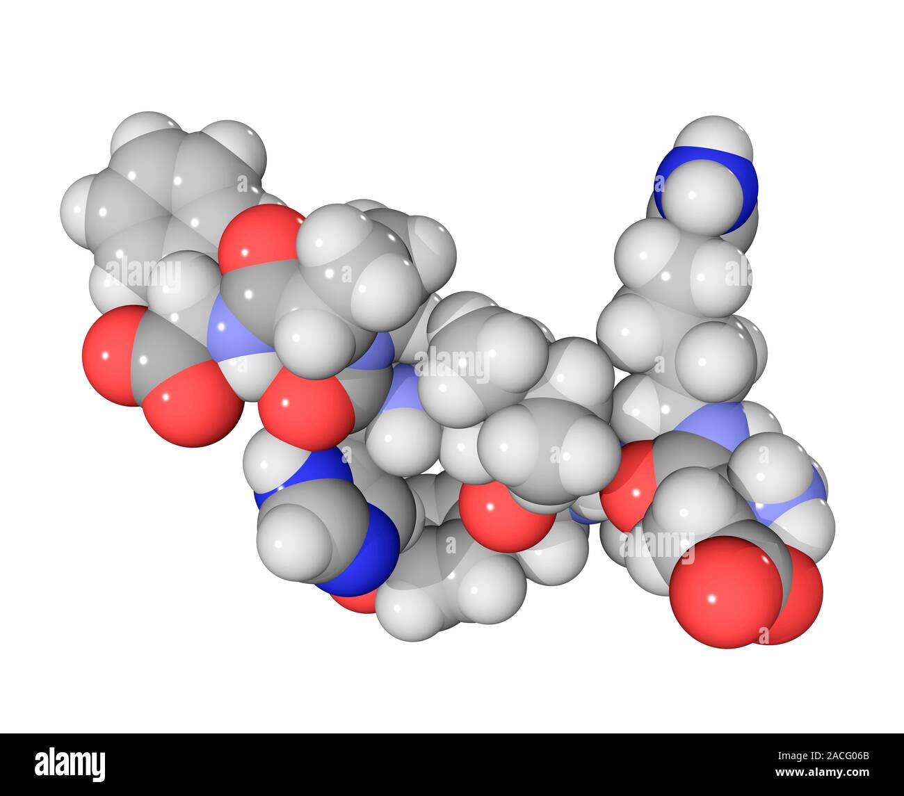 Angiotensin II molecule. Computer model showing the structure of a ...