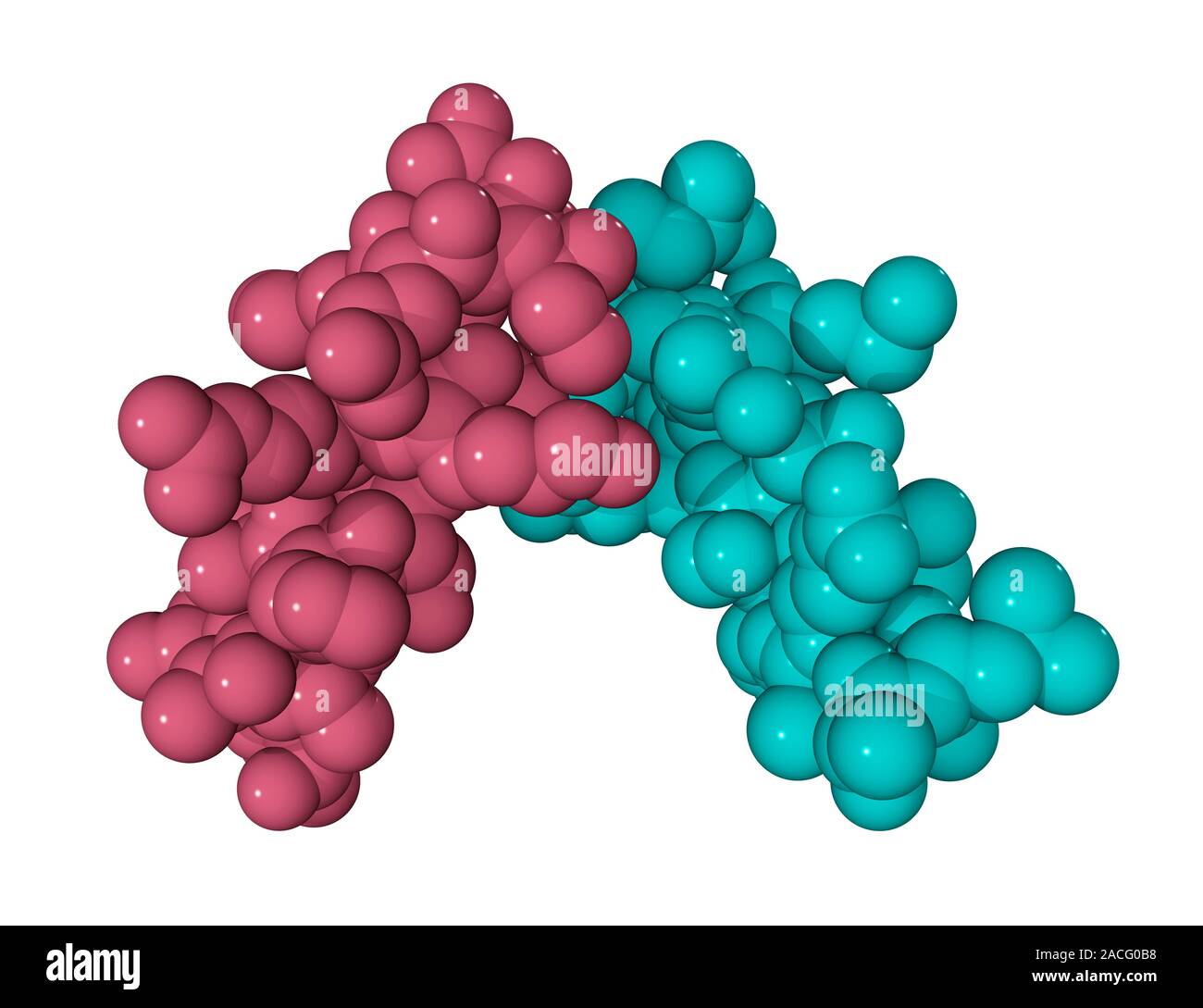 Corticotropin Releasing Factor Crf Complex Molecular Model Showing The Structure Of The Human