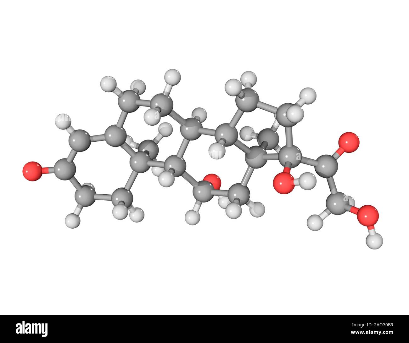 Cortisol hormone molecule. Computer model showing the structure of the ...