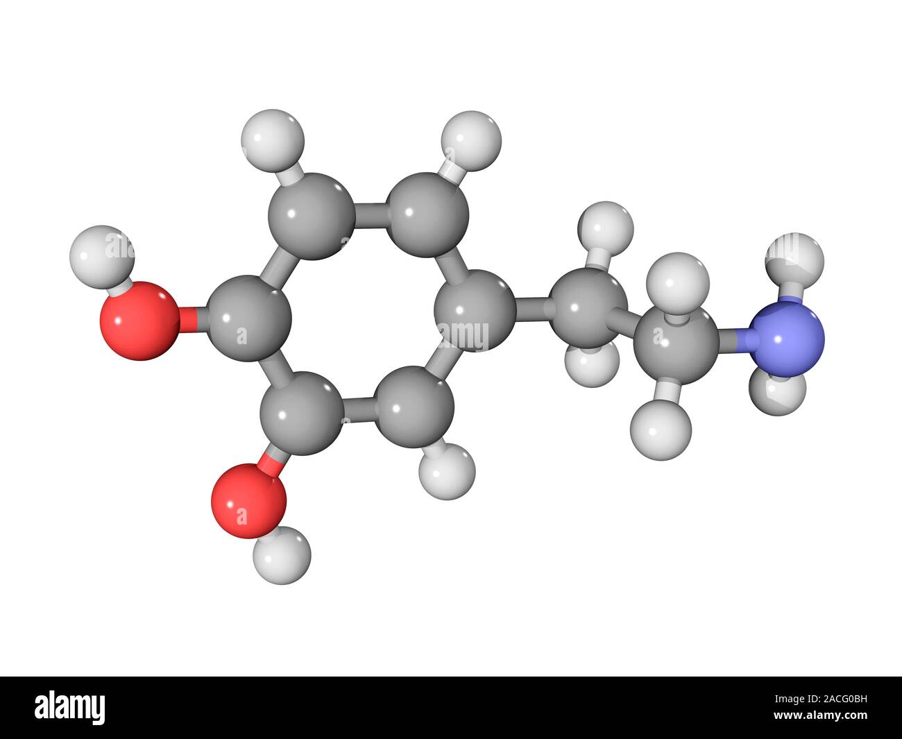 Dopamine neurotransmitter molecule. Computer model showing the ...