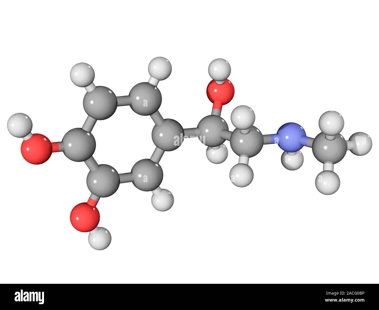 Adrenaline hormone molecule. Molecular model showing the structure of ...