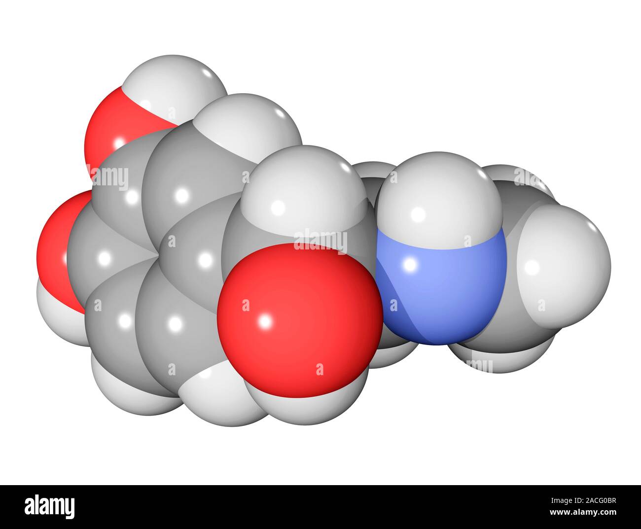 Adrenaline hormone molecule. Molecular model showing the structure of ...