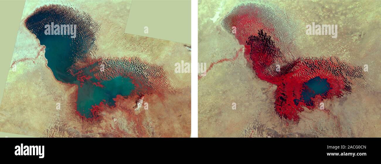 Lake Chad's disappearance over 34 years. Satellite images of Lake Chad ...