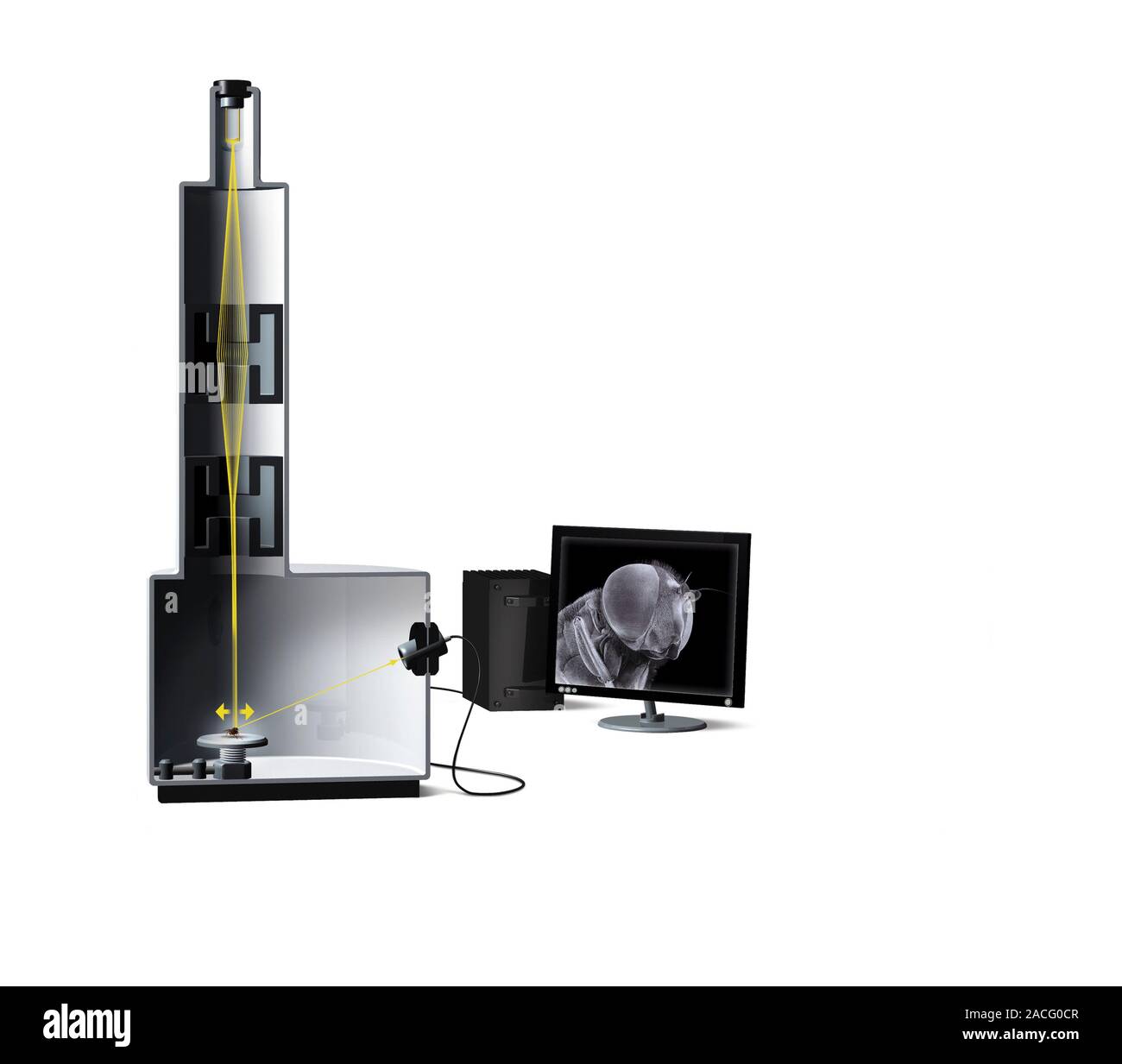 Scanning electron microscope (SEM), computer artwork. An SEM uses an ...