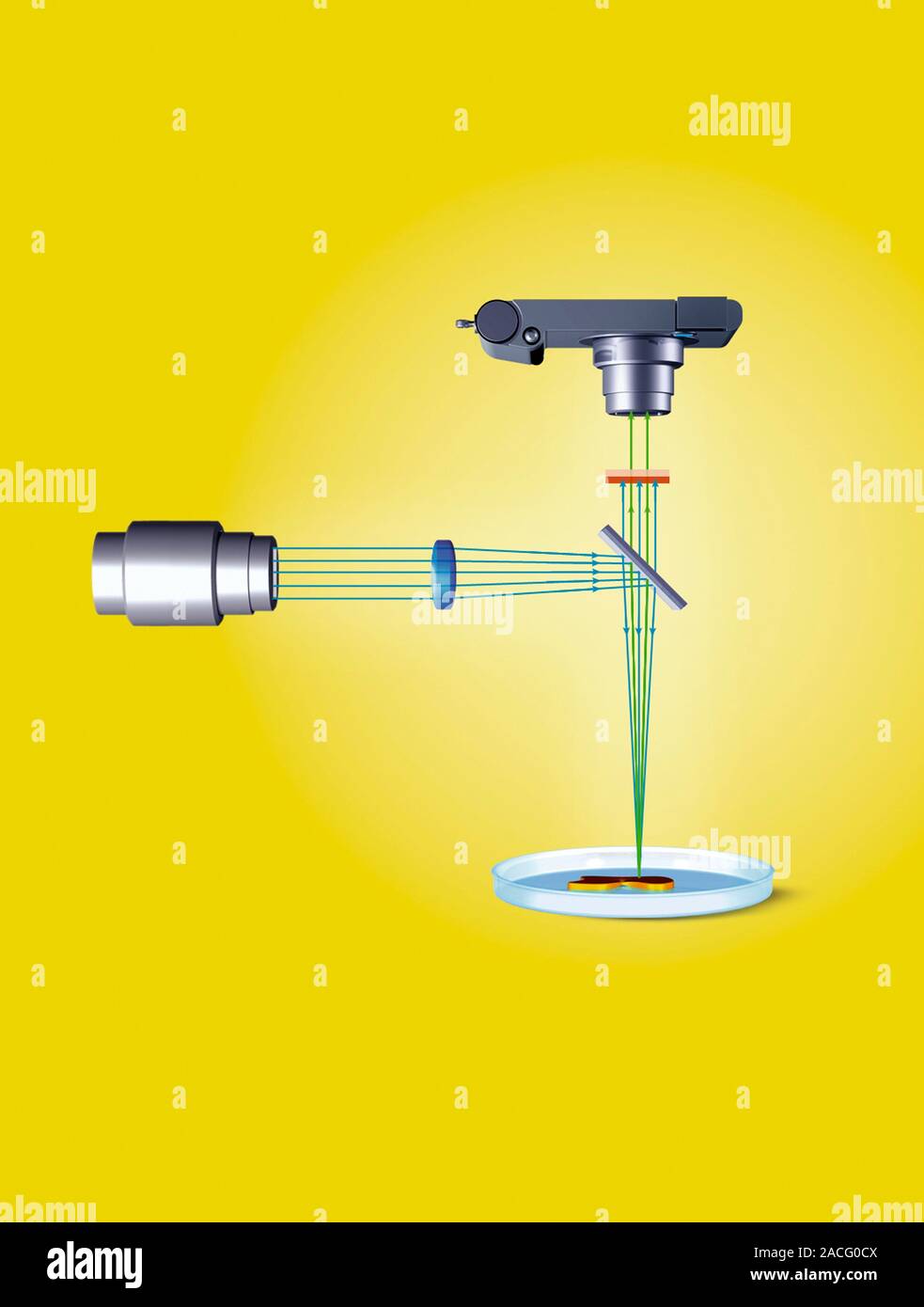 Confocal light microscope, artwork. Confocal microscopy uses ...