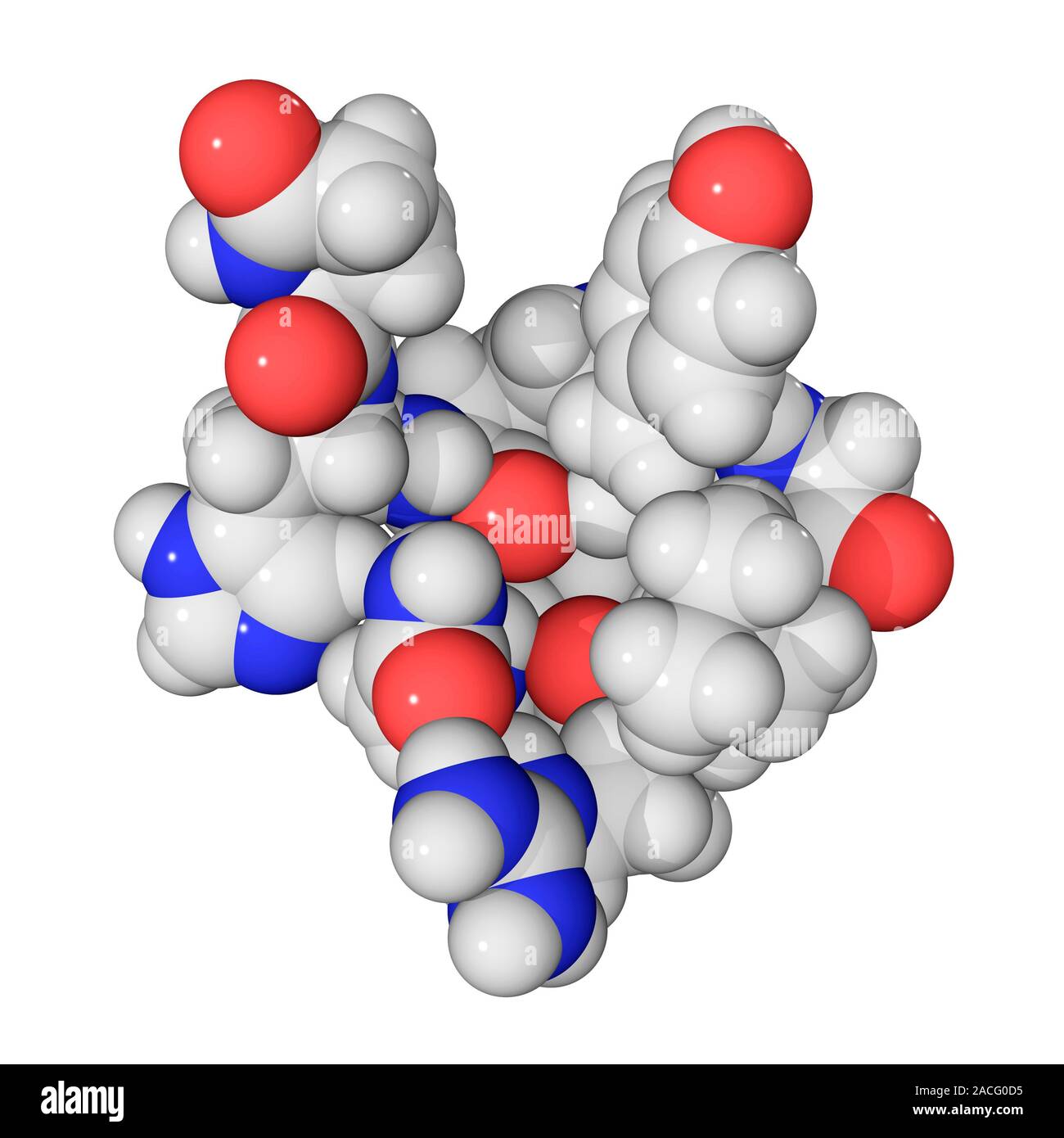 Gonadotrophin Releasing Hormone Molecule Computer Model Showing The Structure Of Gonadotrophin