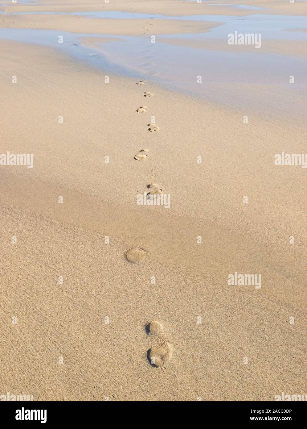 Footprints in sand on a beach Stock Photo - Alamy