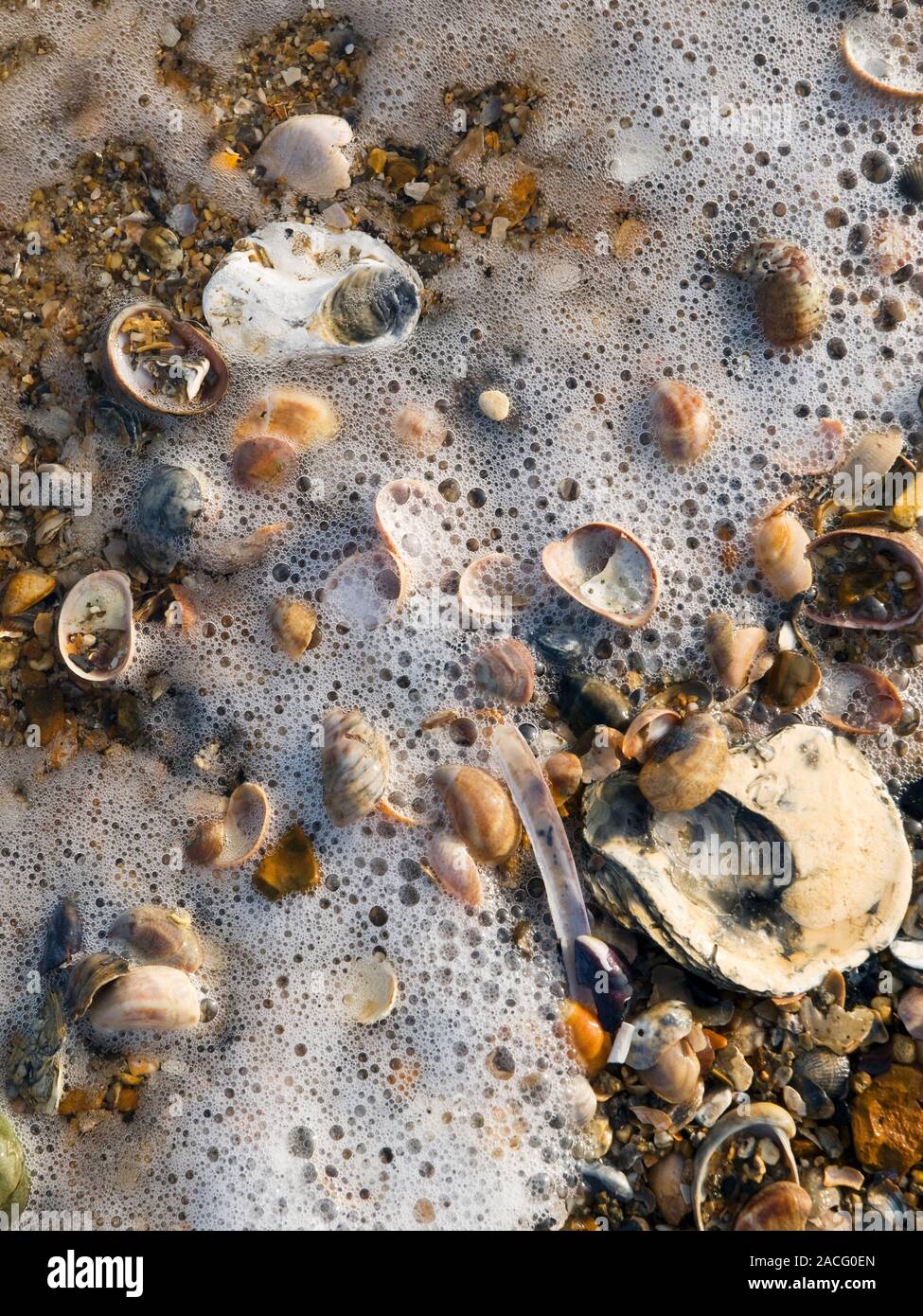 High tide line. Wave washing over debris at the high tide line, or ...