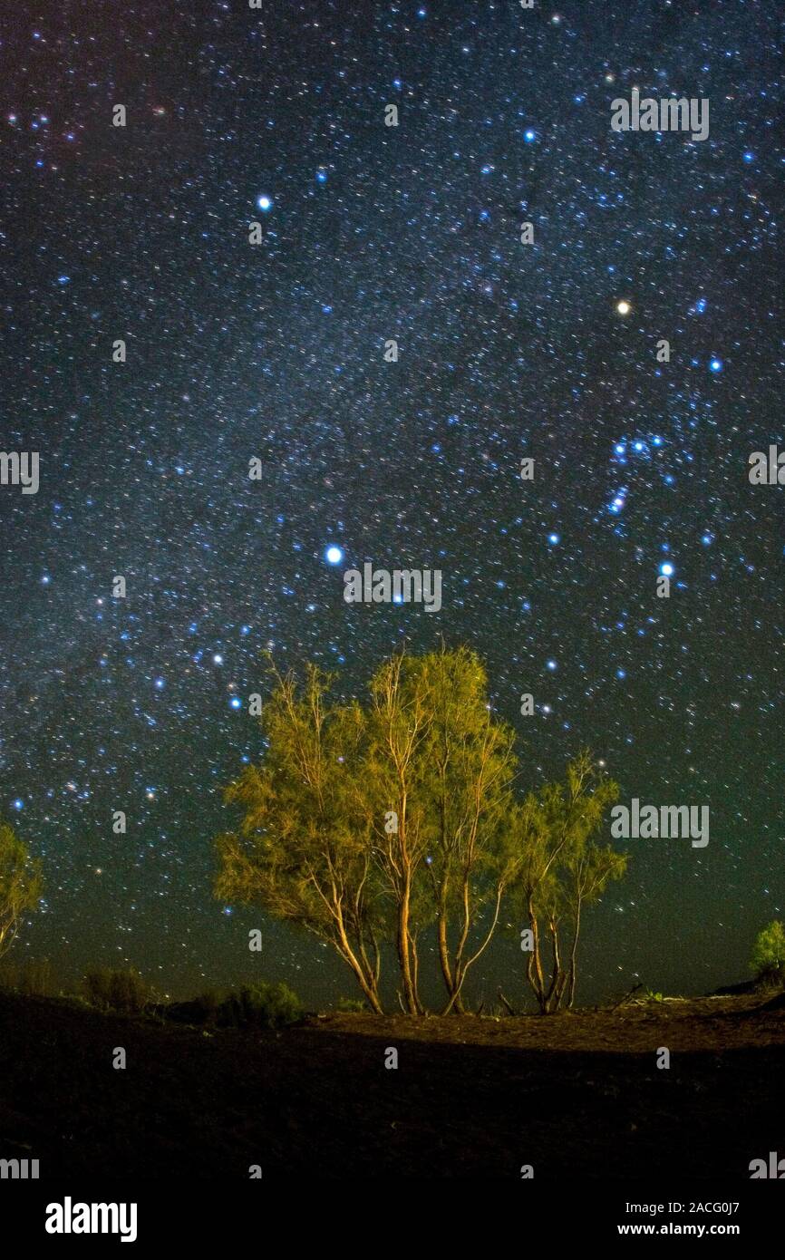 The Milky Way band and the brightest stars of the winter sky, (Orion ...