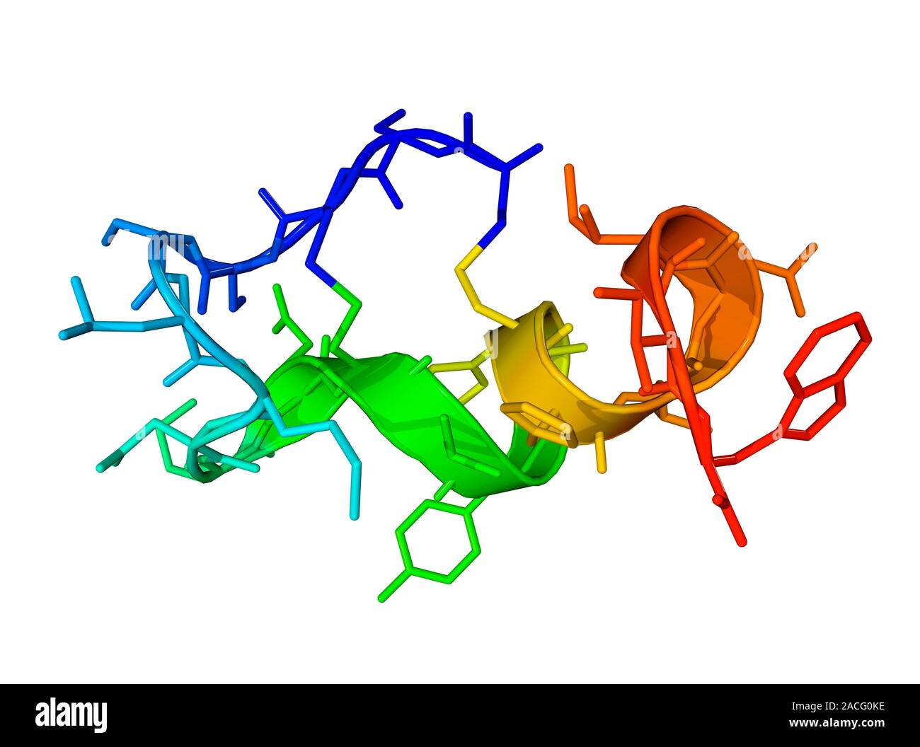 Endothelin 1 Molecule Computer Model Showing The Crystal Structure Of A Molecule Of The Protein