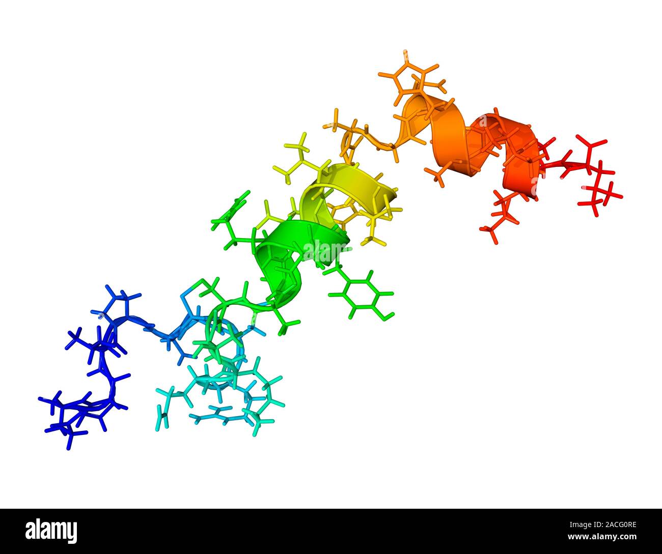 Orexin-A hormone molecule. Computer model showing the crystal structure ...