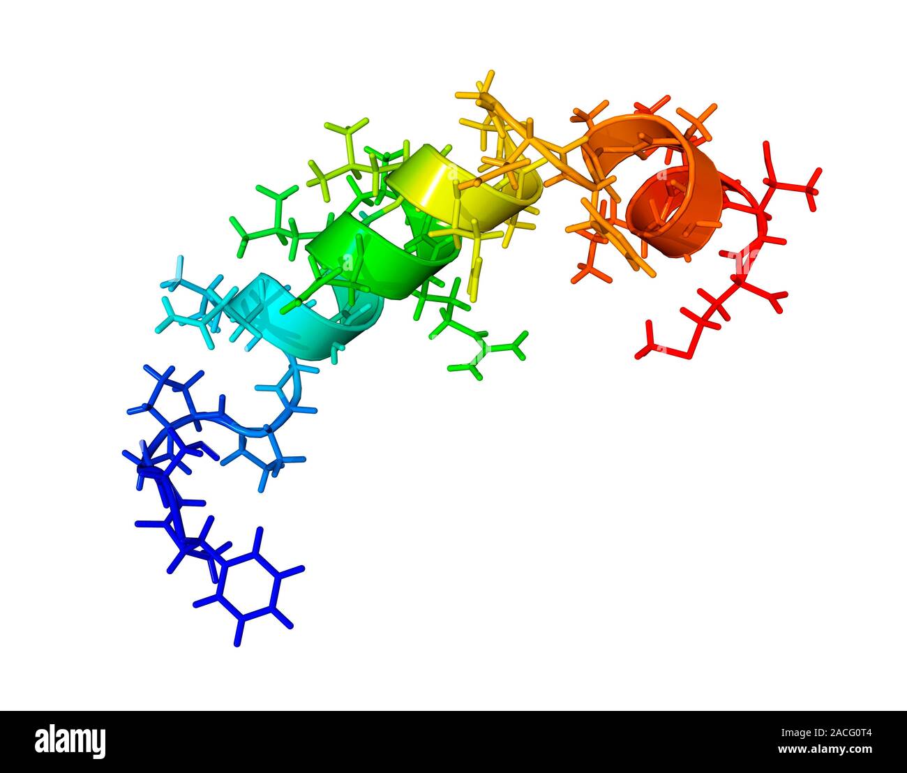 Orexin B Hormone Molecule Computer Model Showing The Crystal Structure Of A Molecule Of The