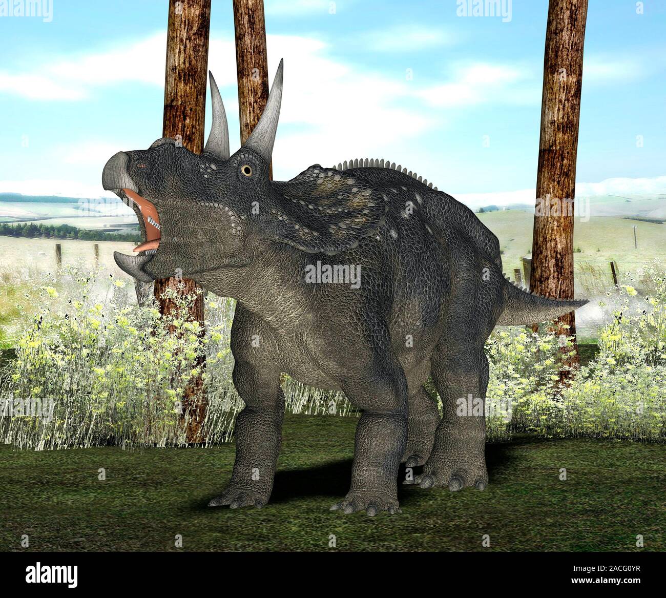 Nedoceratops dinosaur, computer artwork. Formerly known as Diceratops ...