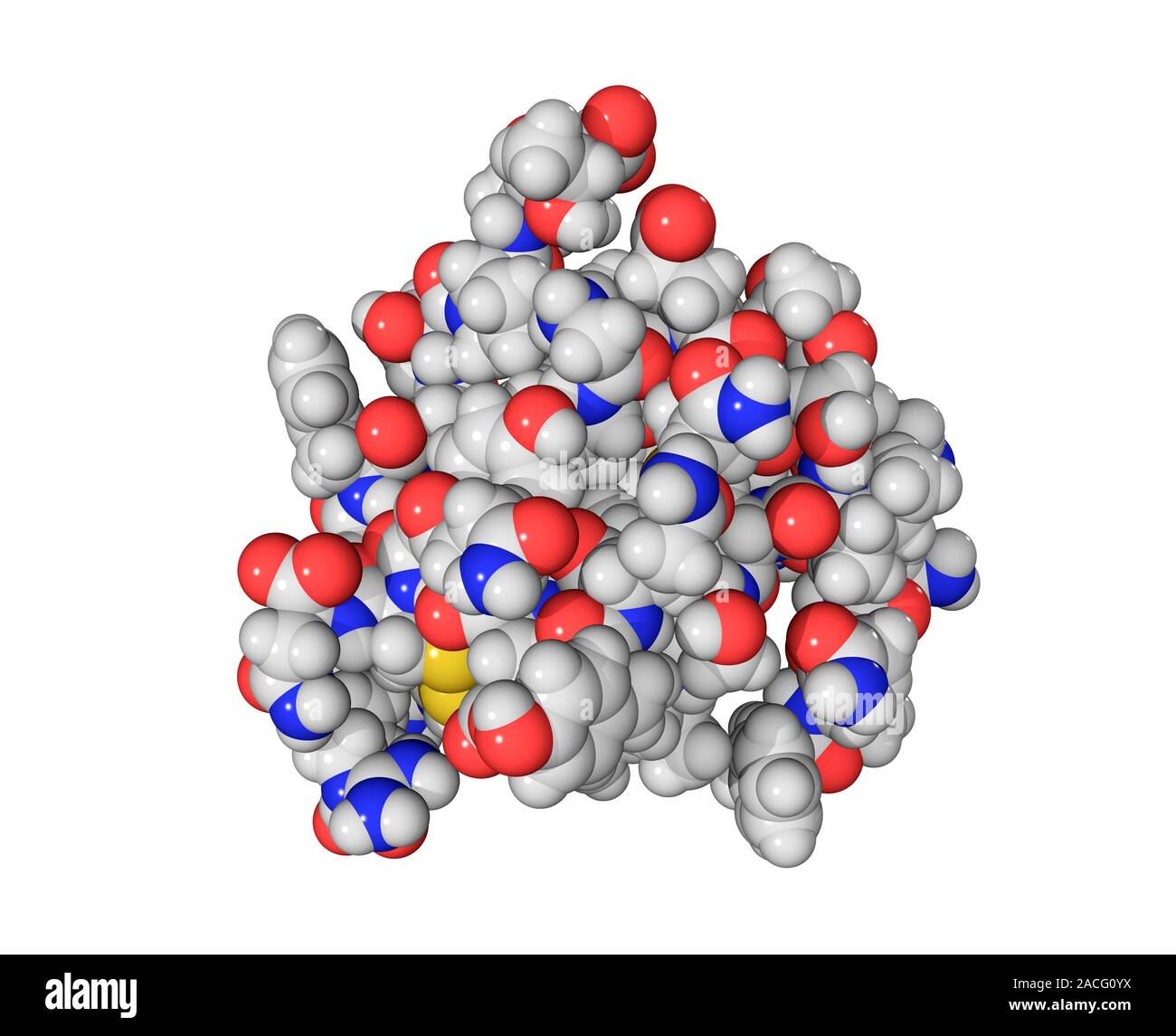 Insulin molecule. Computer model showing the structure of a molecule of ... Insulin molecule. Computer model showing the structure of a molecule of ...